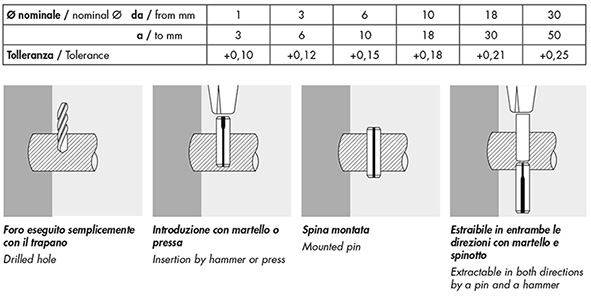SPINE ELASTICHE E SPIRALI, GHIERE ELASTICHE, BUSSOLE DI RINFORZO ...